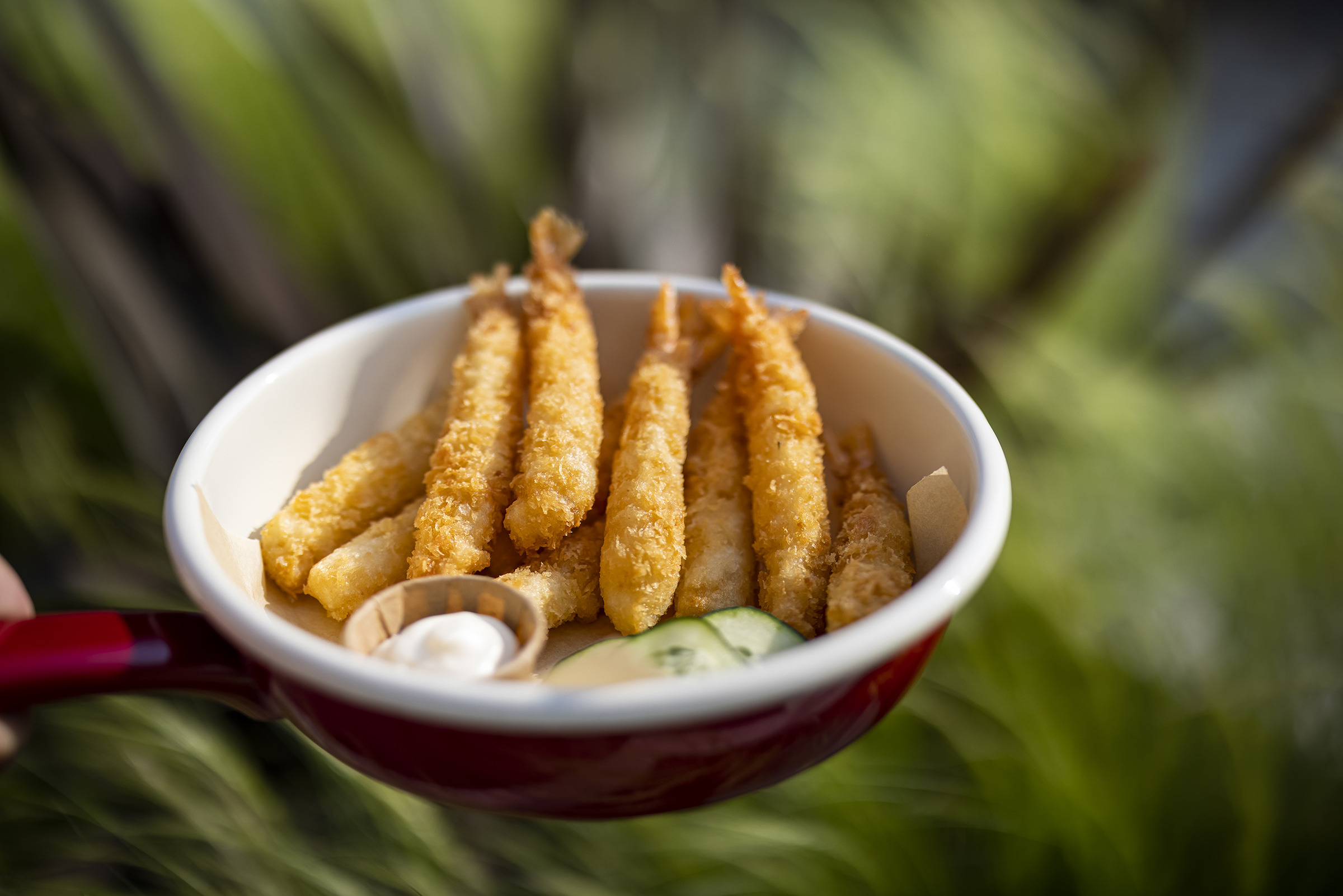 Sea Salt Quick Bite, Koversada Apartments - Vrsar | Maistra