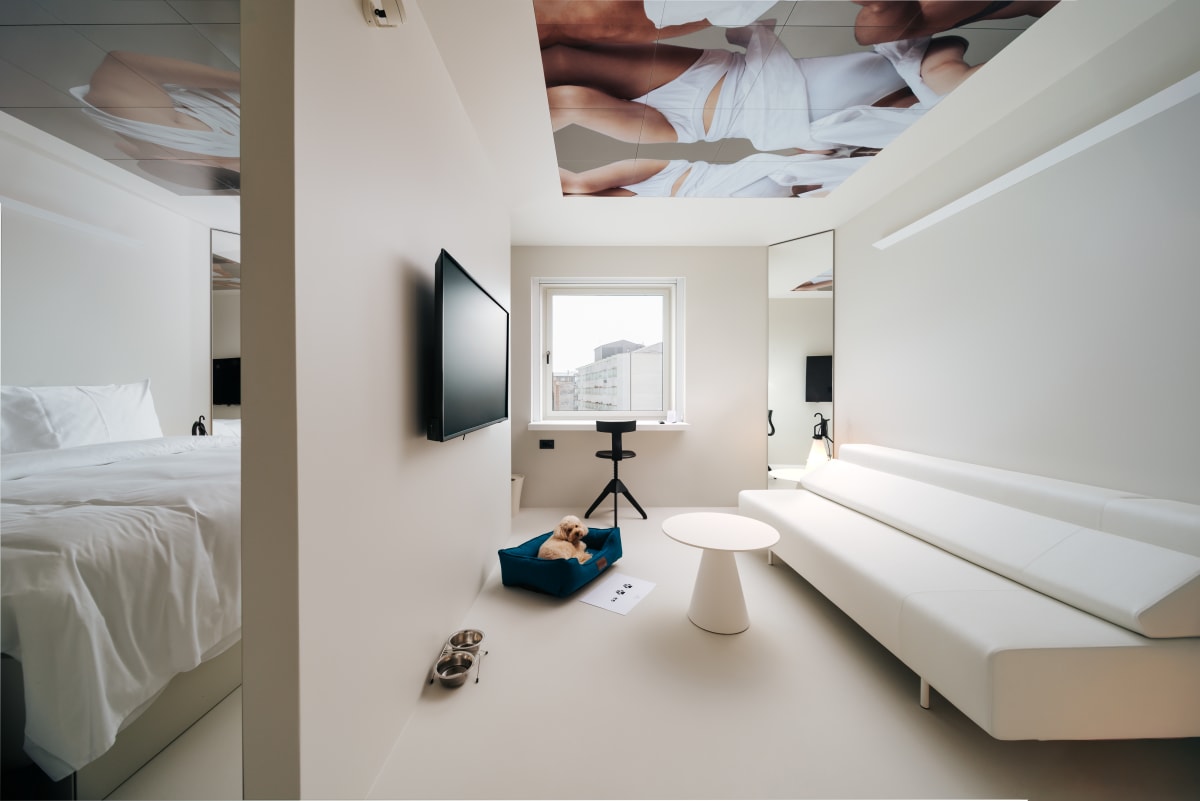 Camera Stellar Suite Module - Stellar Boutique Modules | Maistra