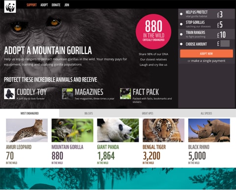 World-class website designs — Stuff & Nonsense