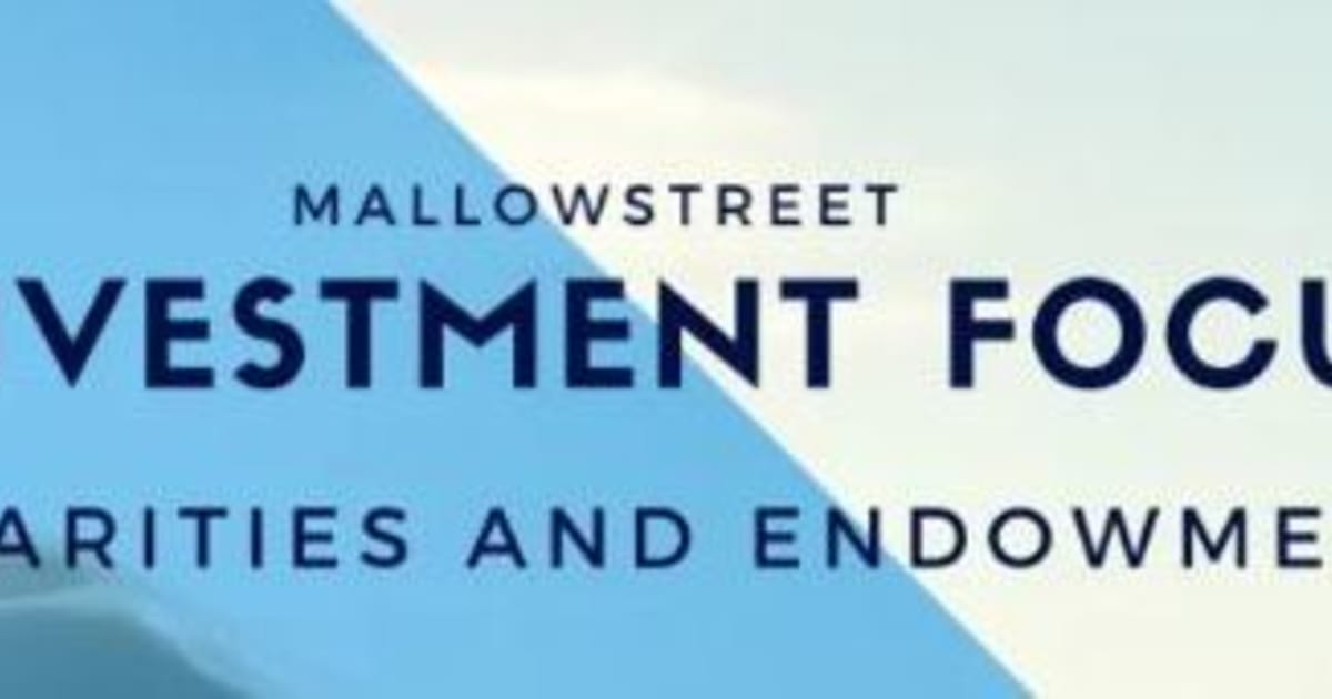 mallowstreet expands its horizon into Charities & Endowments – mallowstreet