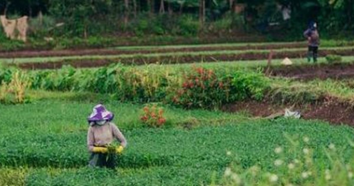 AXA helps insurers tackle environmental and social issues with equity ...