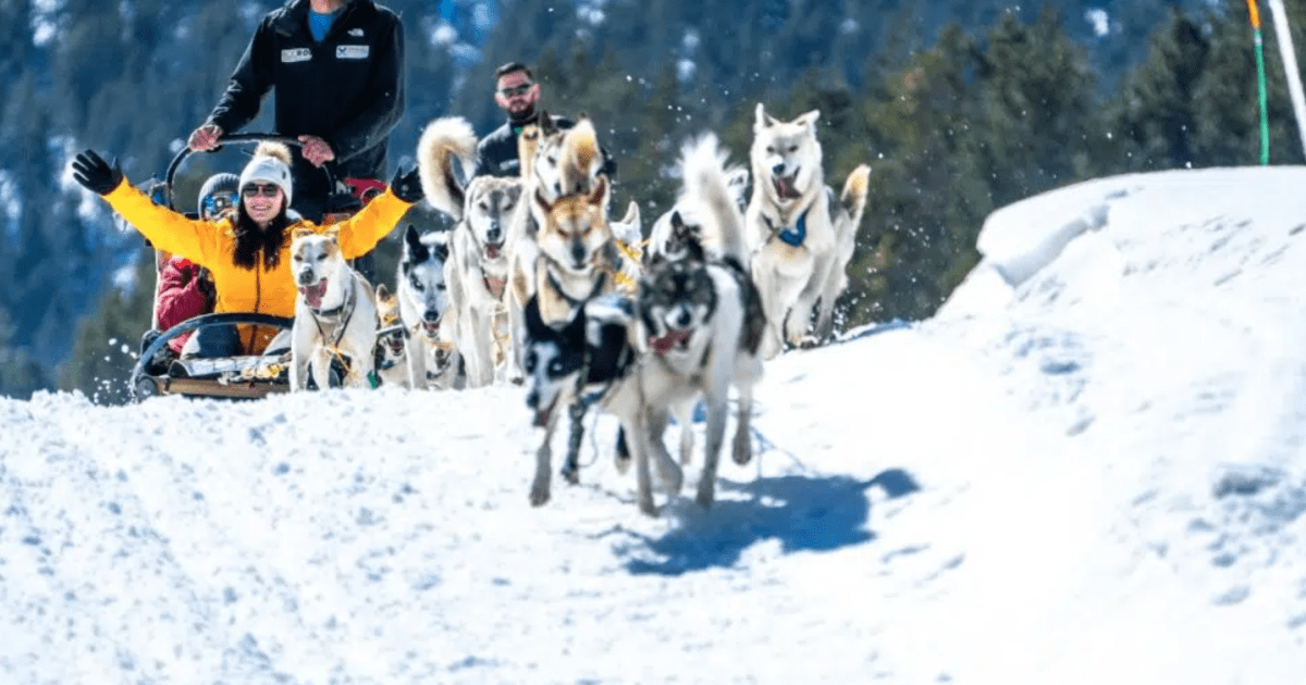 Dog Sledding Tour from Grau Roig, Grandvalira, Andorra | Manawa