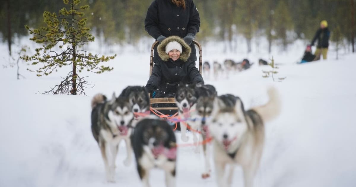 Husky Farm Visit and Dog Sledding from Rovaniemi | Manawa