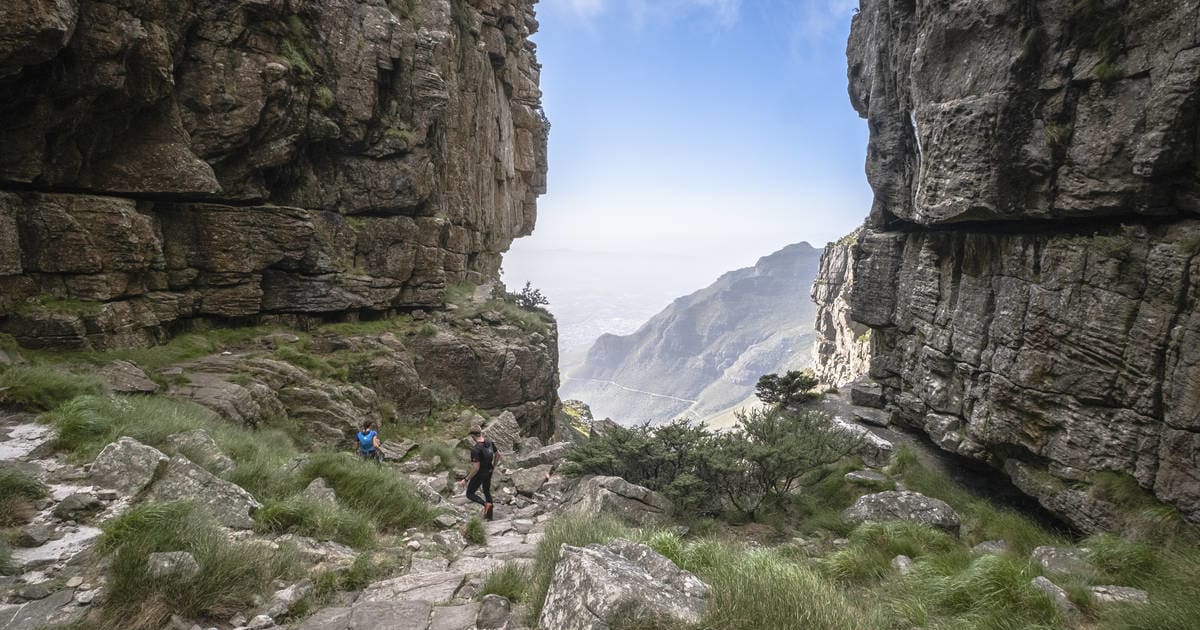 Table Mountain Summit Guided Hike, Cape Town | Manawa