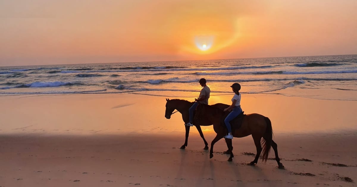 horse riding - Horse Riding Sunset Tour along Bordeira Beach from ...