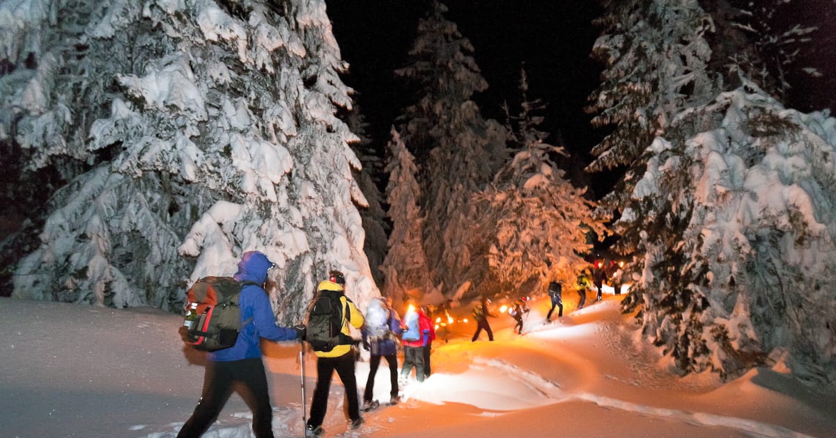 Moonlight snowshoeing excursion - Snowshoeing night excursion in Saint ...