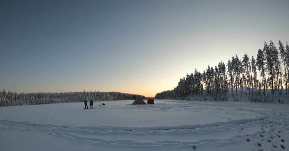 Guided Ice Fishing Excursion near Kalix | Manawa