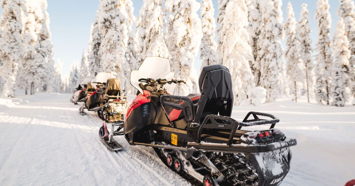 Book with Wild Nordic Finland on Manawa | Manawa