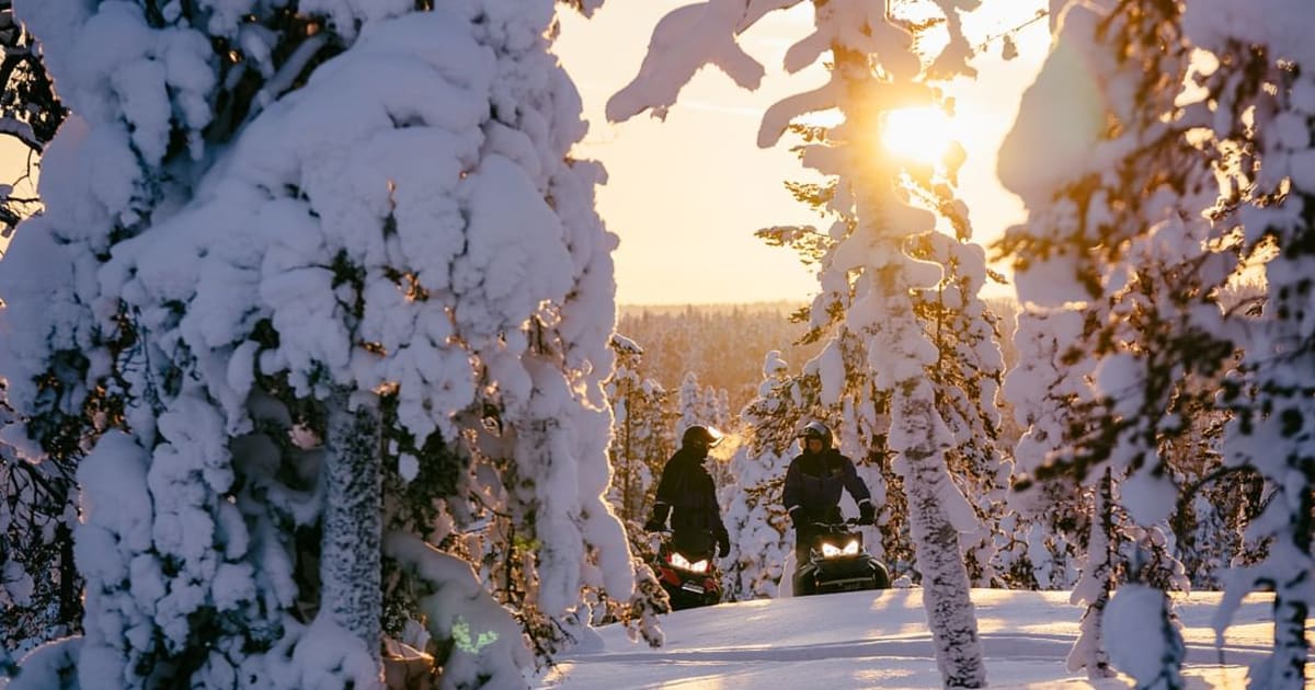 Half-Day Snowmobile Tour in Lappish Forests from Levi | Manawa