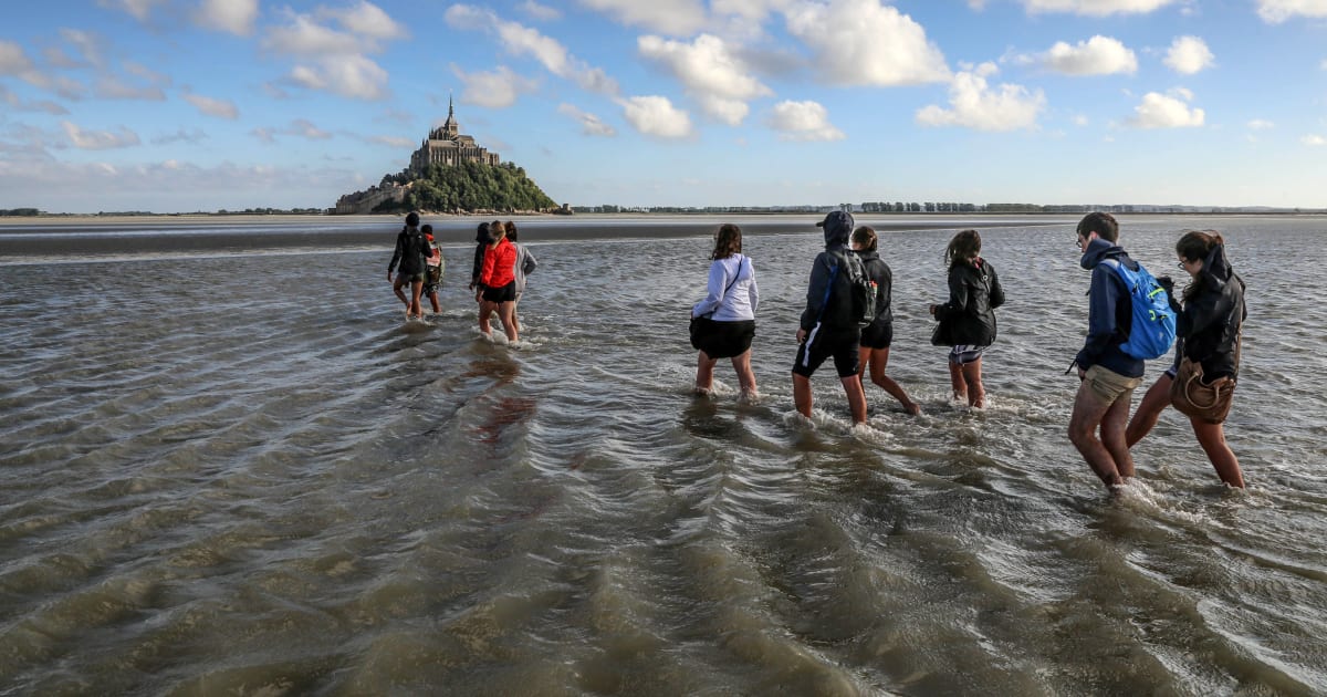 Guided walk in the Bay of Mont-Saint-Michel | Manawa