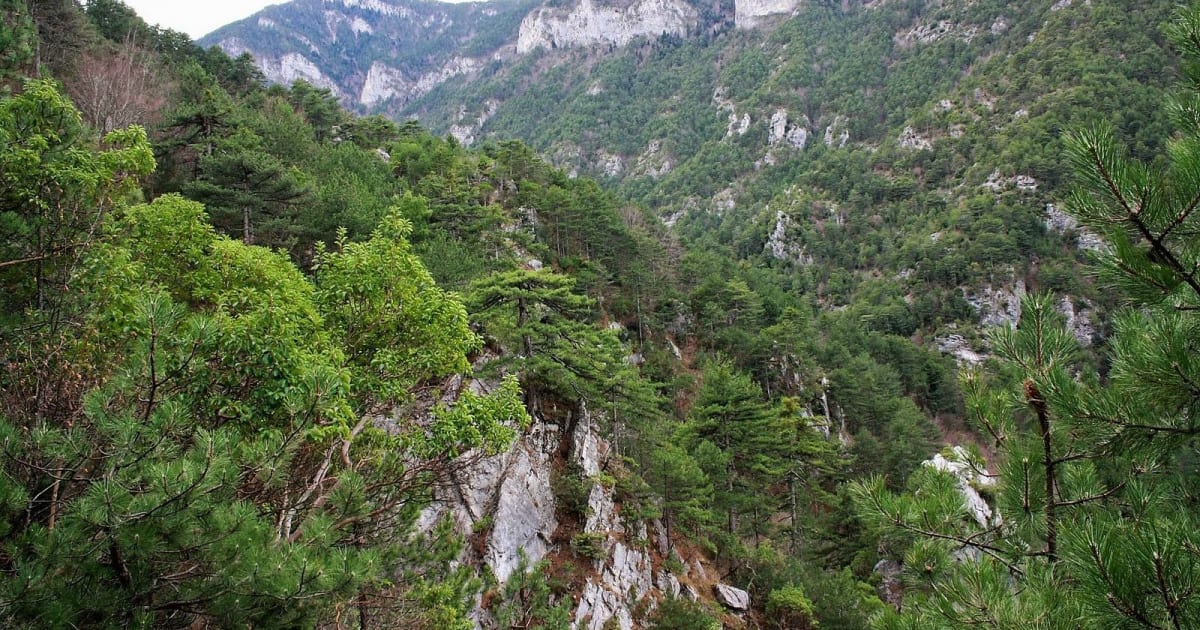 Excursion de randonnée dans le Mont Olympe - Papa Stream | Manawa