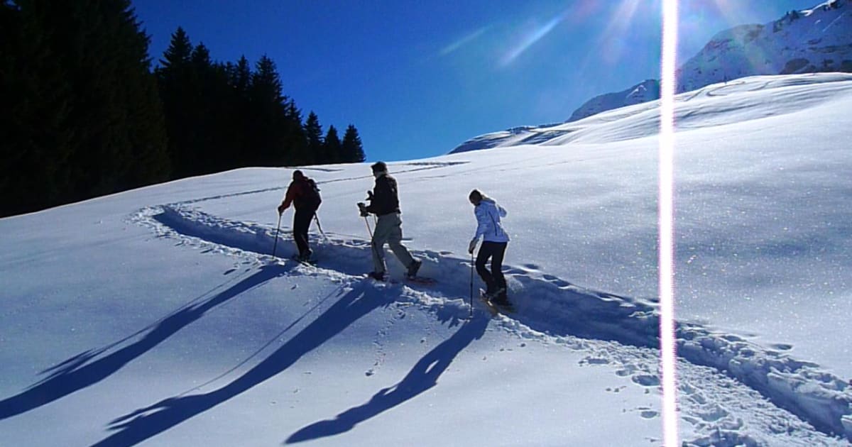 Snowshoeing excursion | Nigh hike with meal in a chalet - Snowshoeing ...
