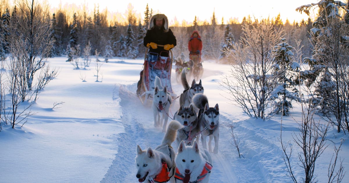 Overnight Winter Husky Experience - Overnight Winter Husky Experience ...