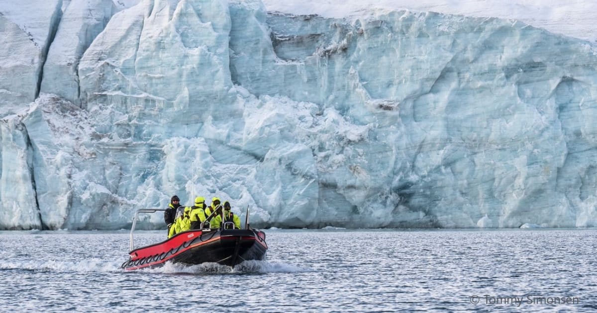 RIB Walrus Safari to Borebukta Bay from Longyearbyen in Svalbard | Manawa