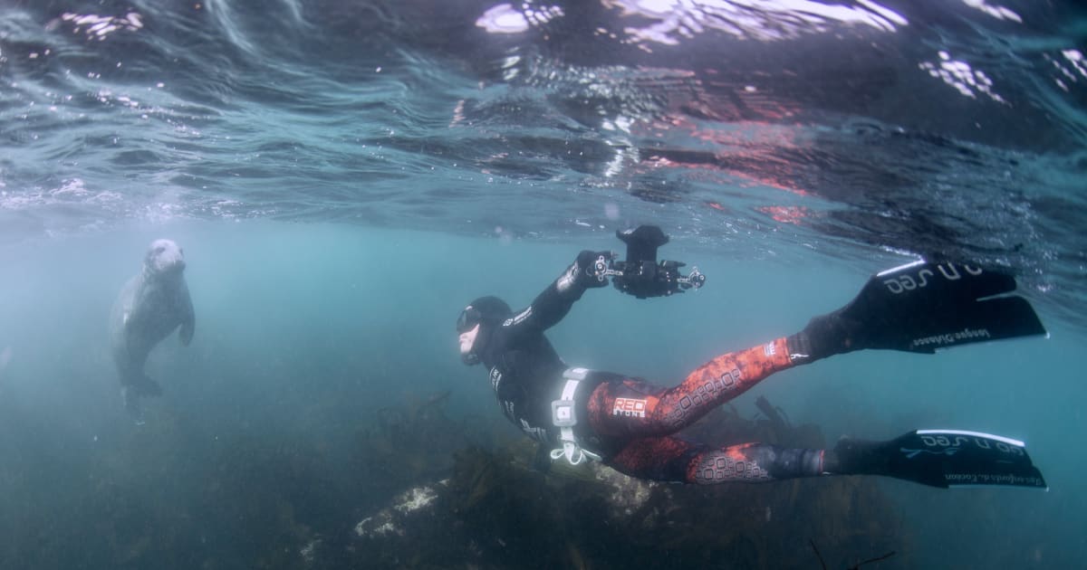 Freediving Discovery Lesson | Excluding equipment - Discovery of ...