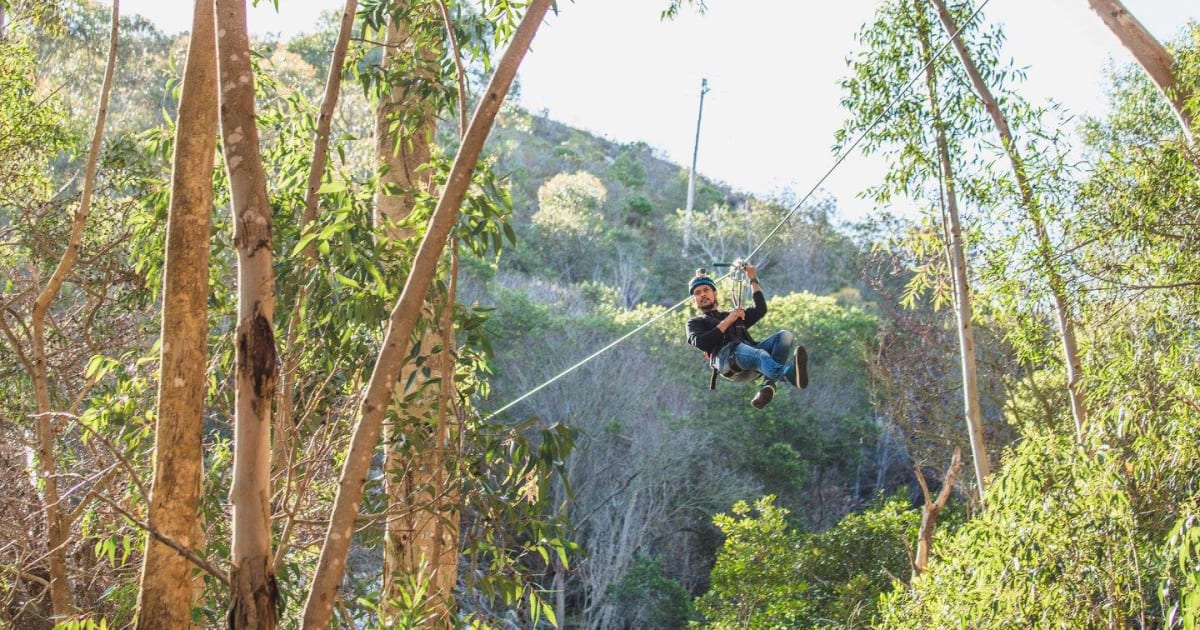 Tree Top Zipline in Caledon near Hermanus | Manawa