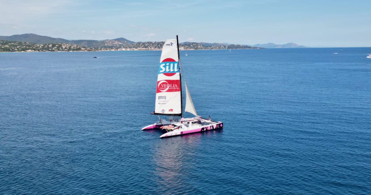 Catamaran Day Trip to Cap Taillat from Le Lavandou, Var | Manawa