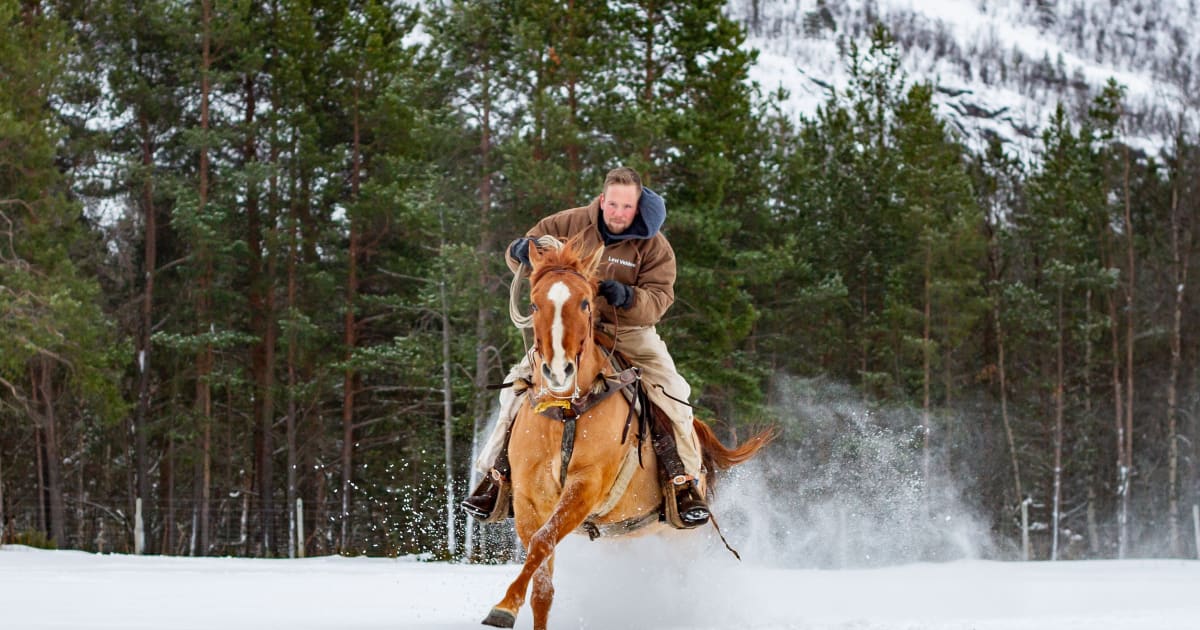 Winter Horseback Riding in Alta's Backcountry | Manawa