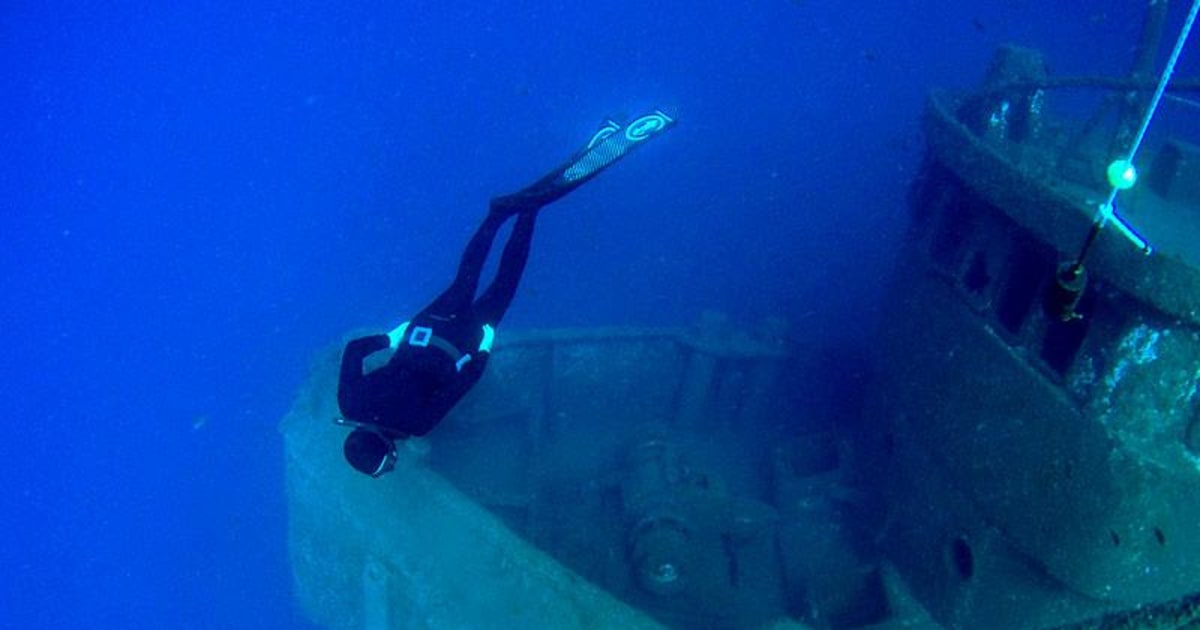 Book with Atlantis Freediving on Manawa | Manawa