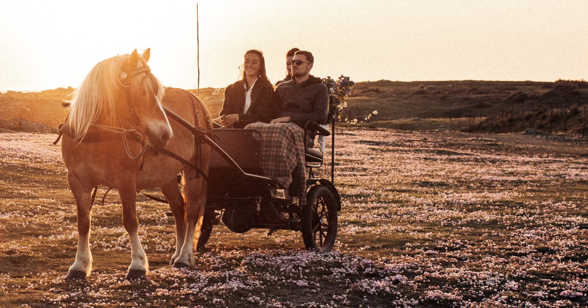 Book with Caval Coaching on Manawa | Manawa