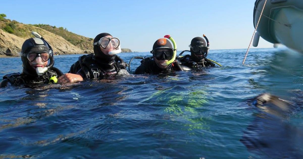 Basic Diver SSI course in the Gulf of Lion Marine Park, Argelès-Sur-Mer | Manawa