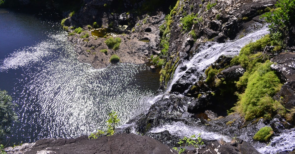 Excursión guiada a las 7 cascadas de Tamarin en Mauricio | Manawa
