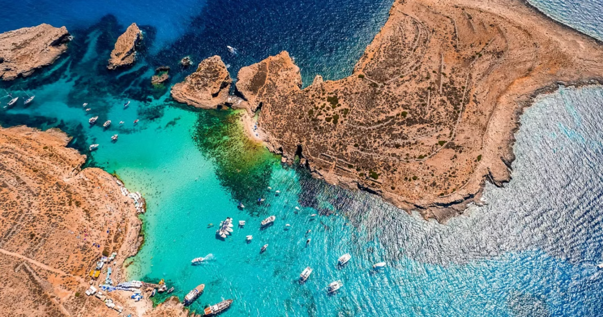 Book with Robert Arrigo and Sons on Manawa | Manawa