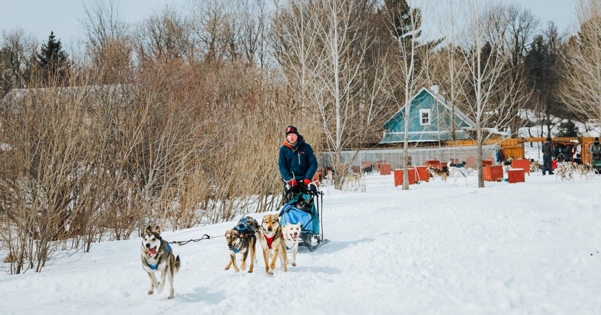 Dog Sledding Excursion in Lanaudière, departing from Montreal | Manawa