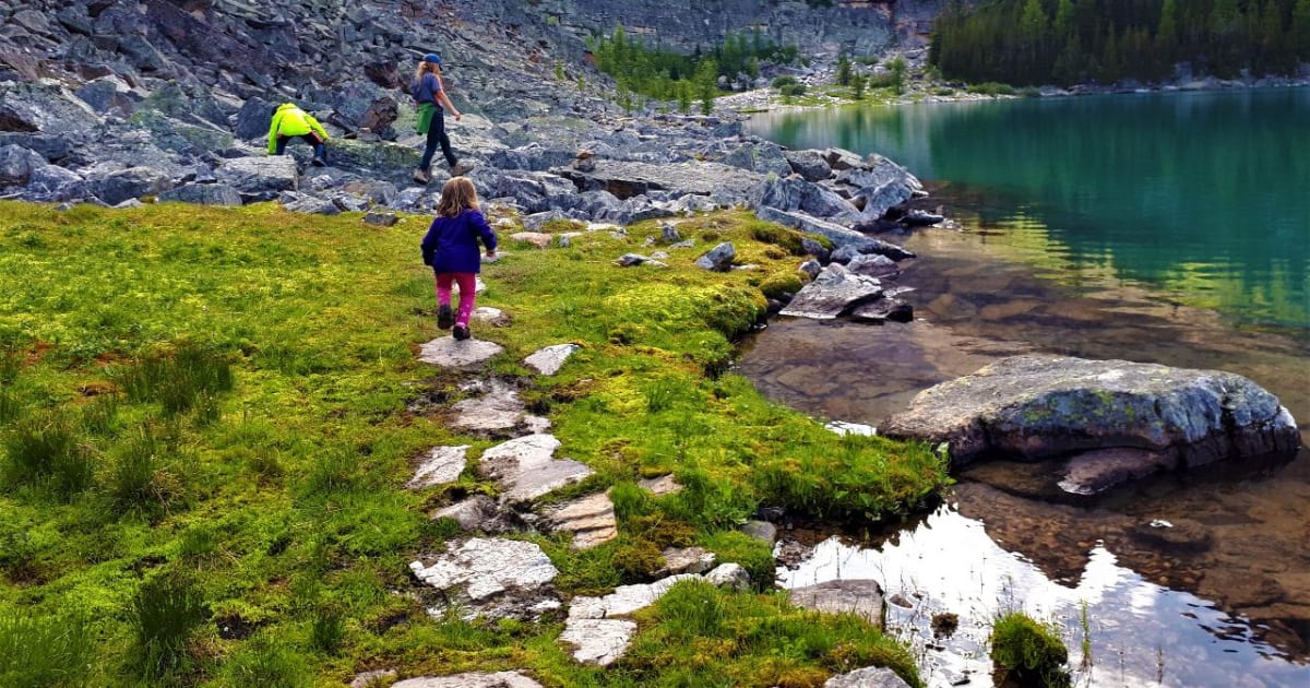 Guided hike in the Skoki Valley in Banff National Park, near Calgary ...