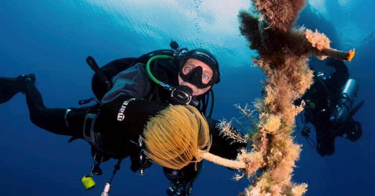 Entdecken Sie das Tauchen in San Vito Lo Capo, Sizilien | Manawa
