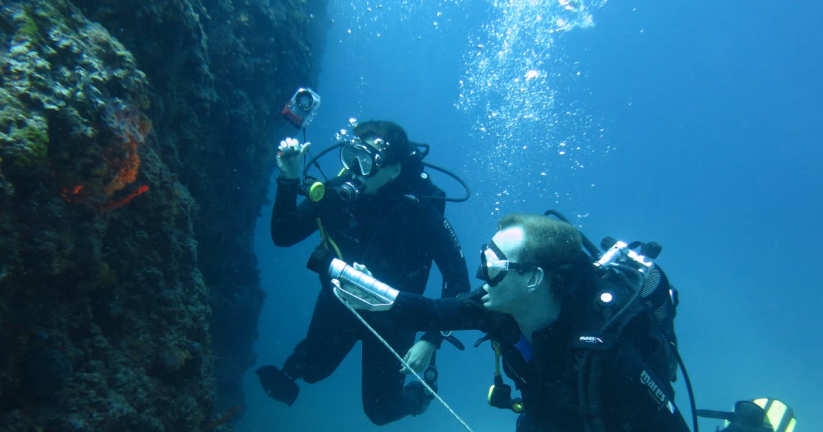 Discover Scuba Diving Session - Discover Scuba Diving in Split | Manawa