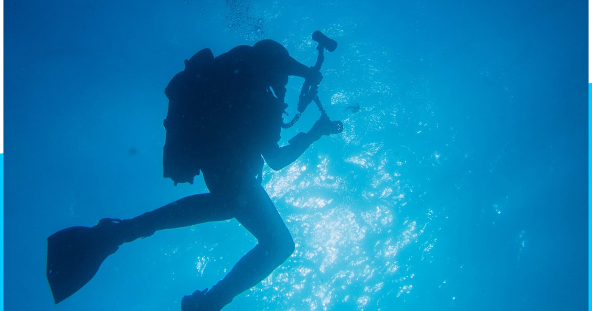 Diving trip (2 dives) from Marina de Albufeira, Algarve | Manawa