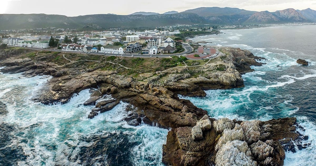 The best outdoor activities in Hermanus | Manawa