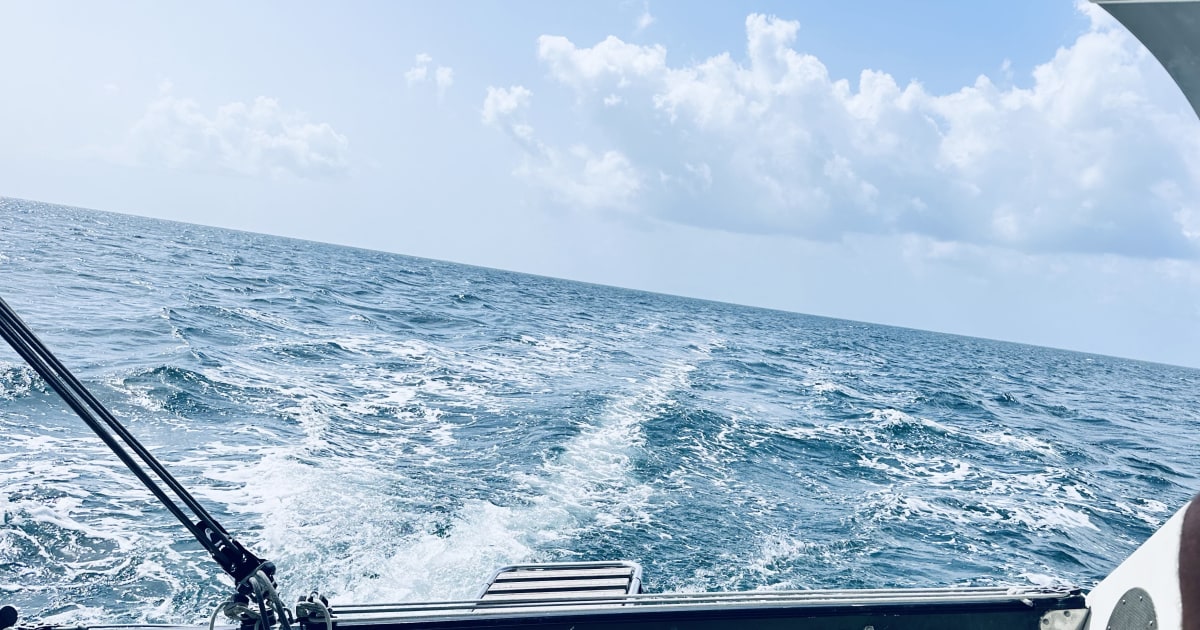 Book with TI-BO SAILING Excursions on Manawa | Manawa