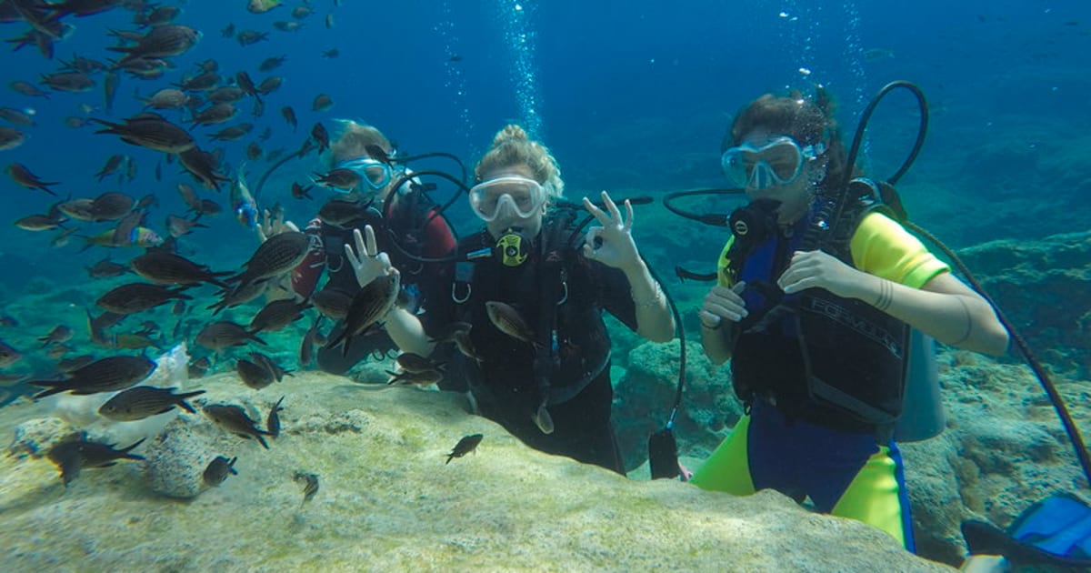 Safari Dive for Certified Divers in Green Bay from Protaras | Manawa