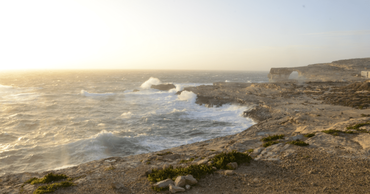 Book with Hammerhead Projects on Manawa | Manawa