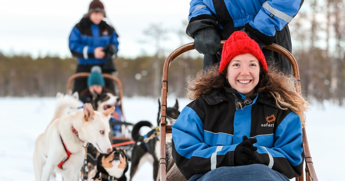 Beginner Self-drive Dog Sledding Safari in Ylläs | Manawa