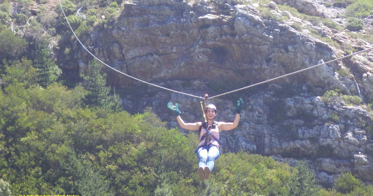 Cape Town Zipline Tour near Table Mountain | Manawa