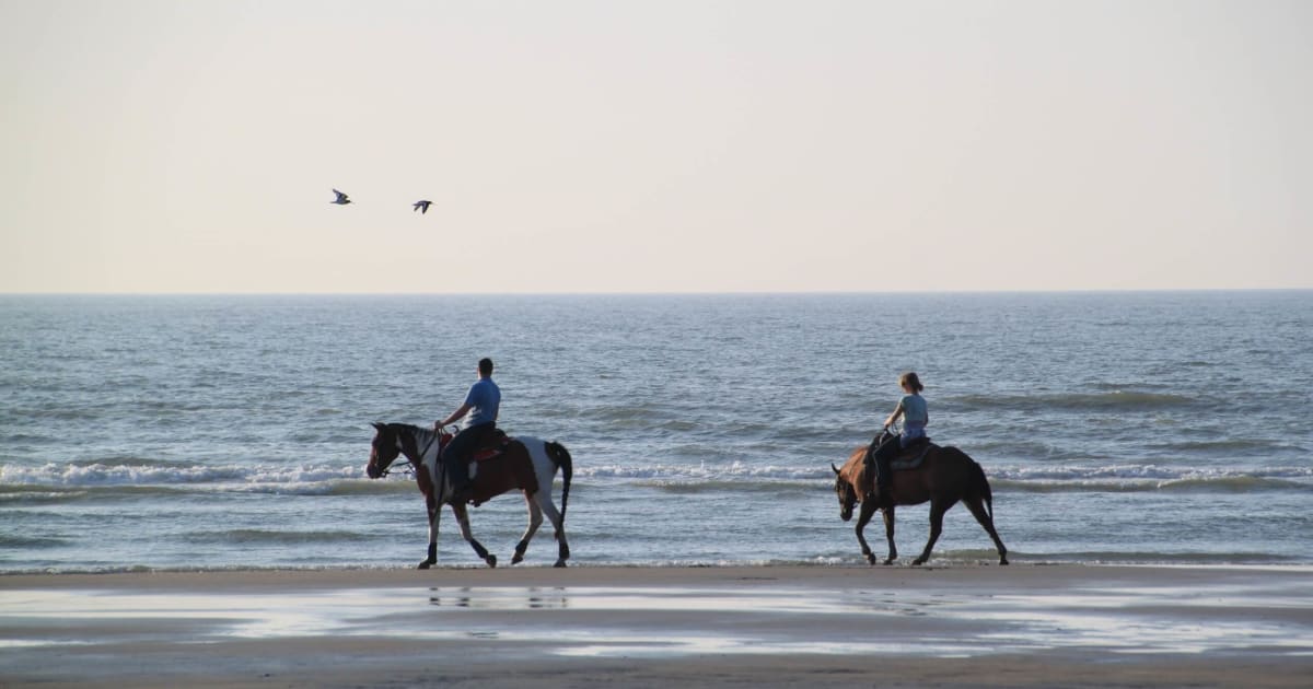 Horseback Riding & Swimming Experience in Zakynthos | Manawa
