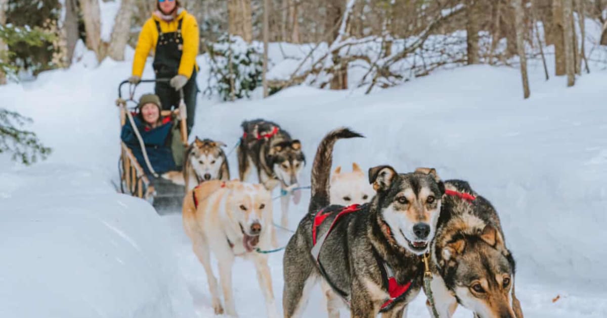 Dog Sledding in the Upper Laurentians, Quebec | Manawa
