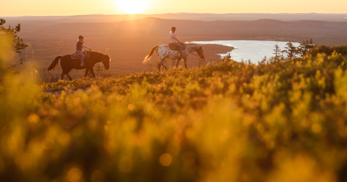 Book with Lucky Ranch on Manawa | Manawa