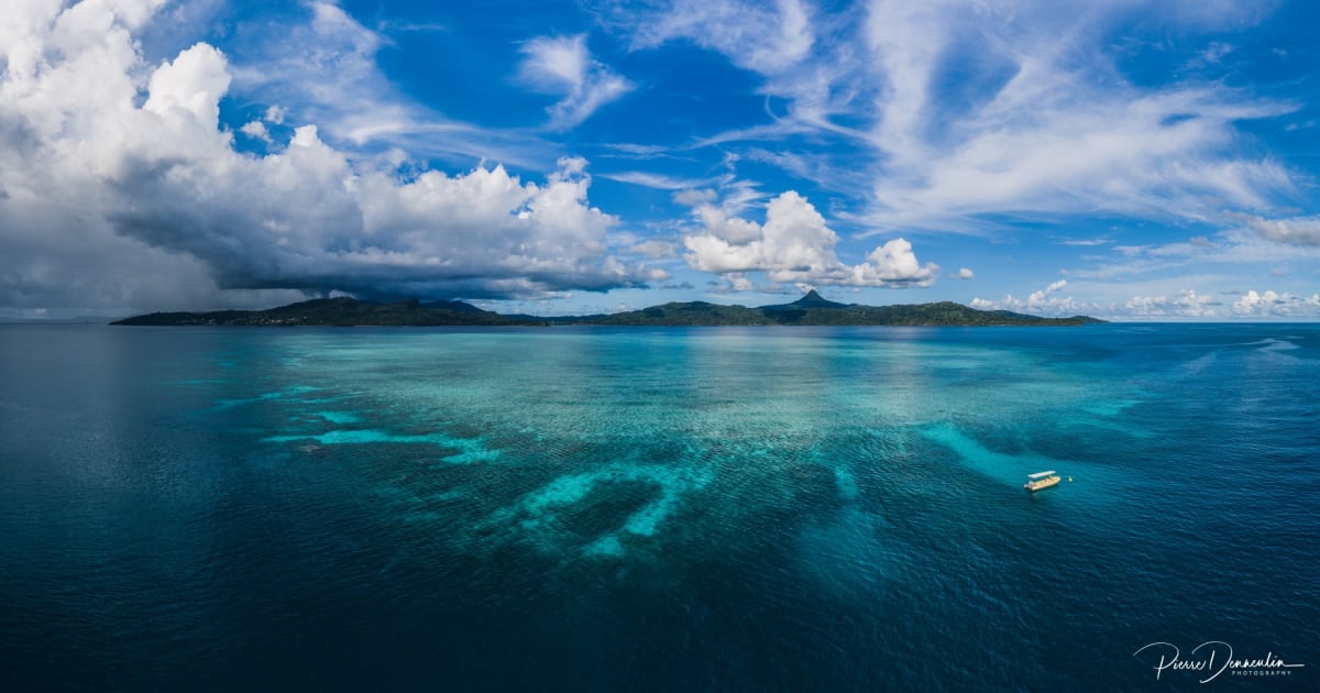 Book with Abalone Plongée on Manawa | Manawa