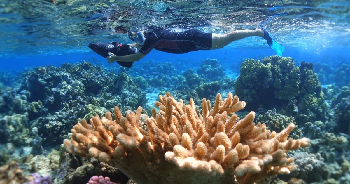 Book with Moorea Water Games on Manawa | Manawa