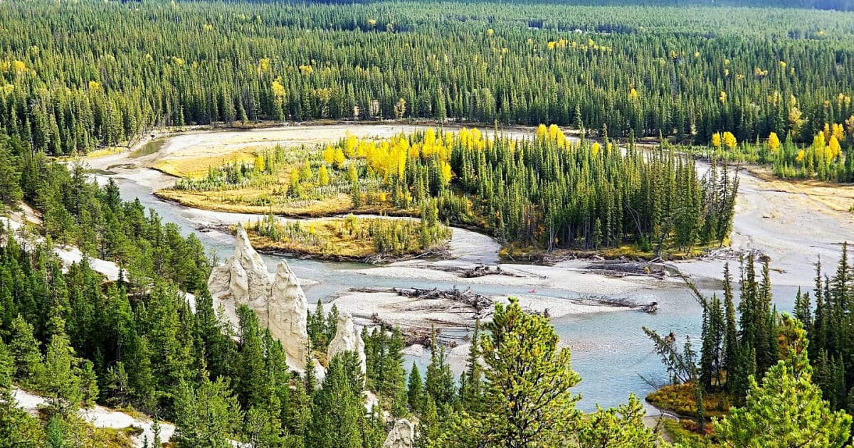 Guided tour of the waterfalls, lakes and mountains of the Banff region ...