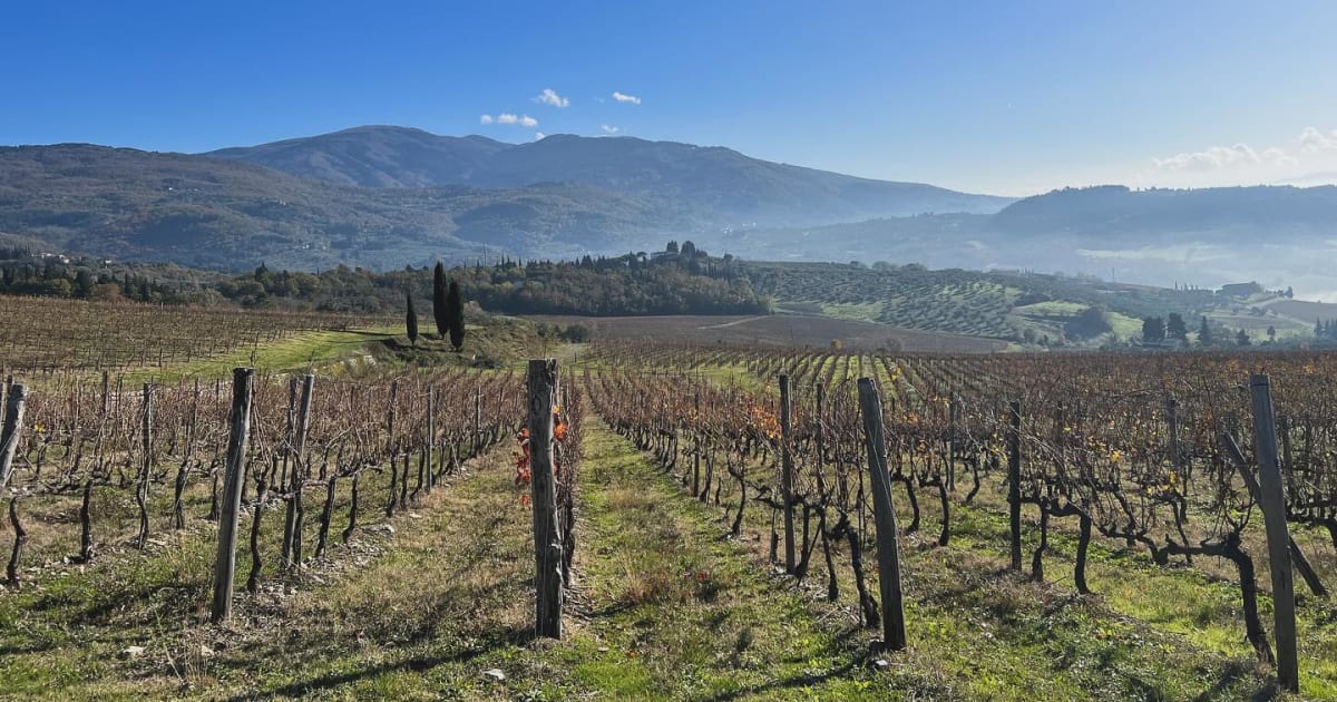 Book with Out of the Box Florence on Manawa | Manawa