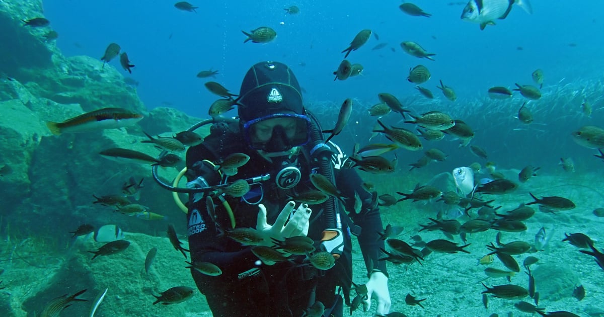 First Diving Experience from Caldera Beach in Santorini | Manawa