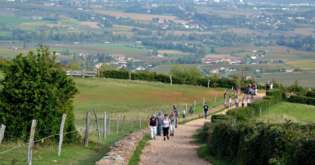 The 10 Best outdoor activities in Mâcon | Manawa