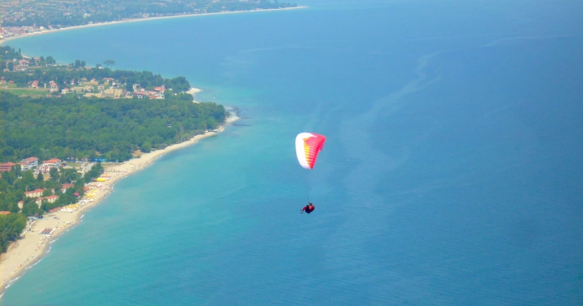 Book with Olympic Wings on Manawa | Manawa