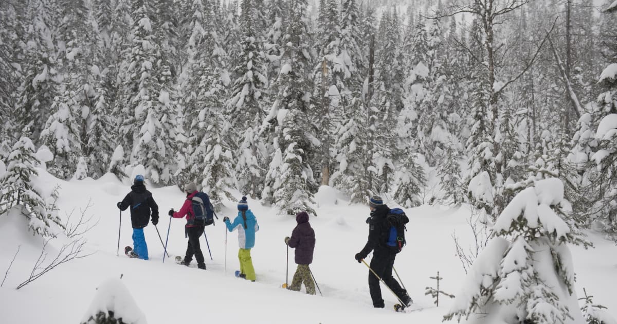 Snowshoe rental in the Monts-Valin Park, Saguenay | Manawa
