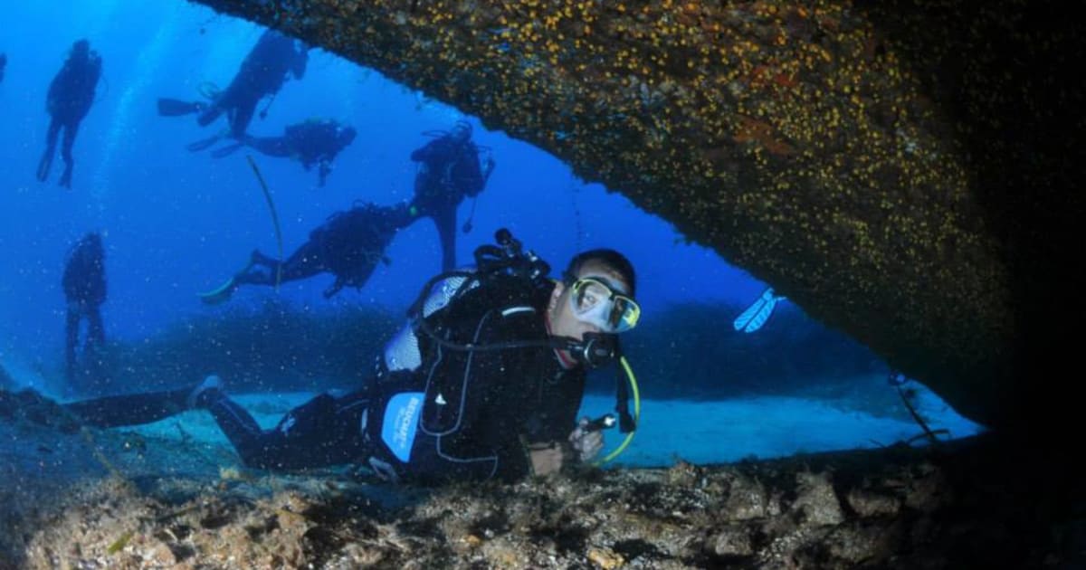 Plongée exploration à Port-Cros au départ de Bormes-les-Mimosas | Manawa